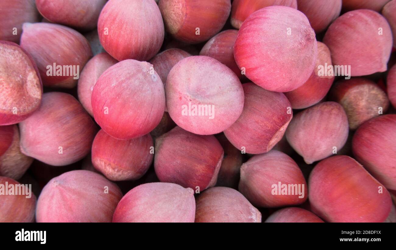 Close up of a hazelnuts. Food background, photo wallpaper Stock Photo ...