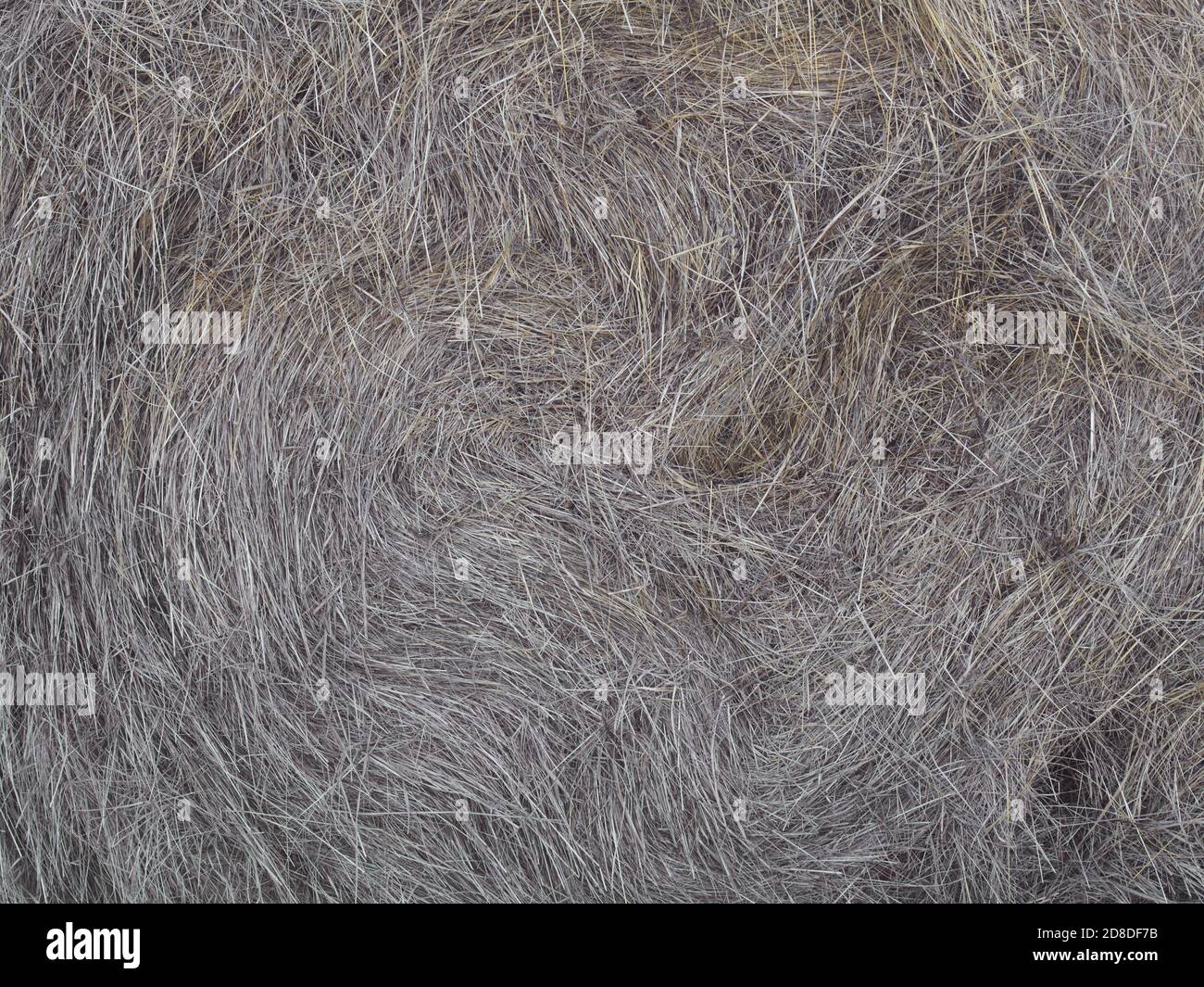 Hay background, haystack surface texture Stock Photo - Alamy