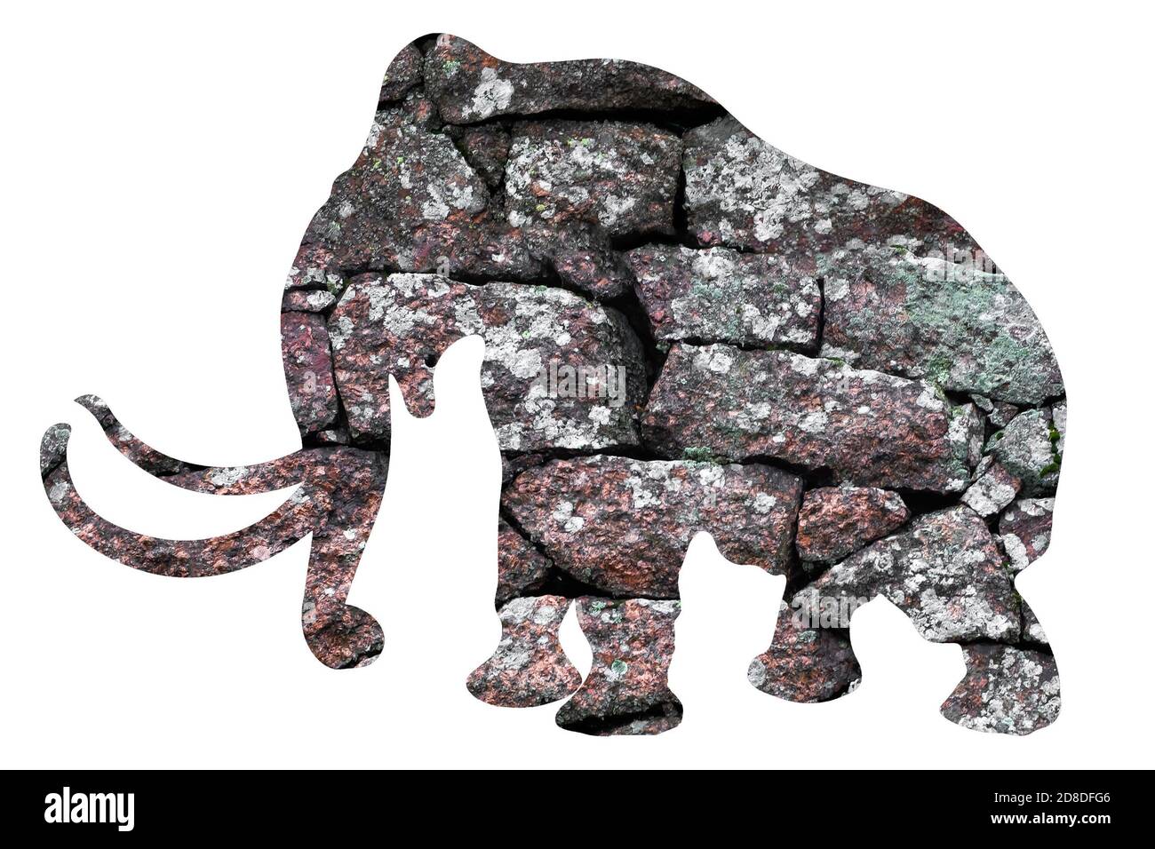 elephant silhouette with stone texture isolated on white background ...