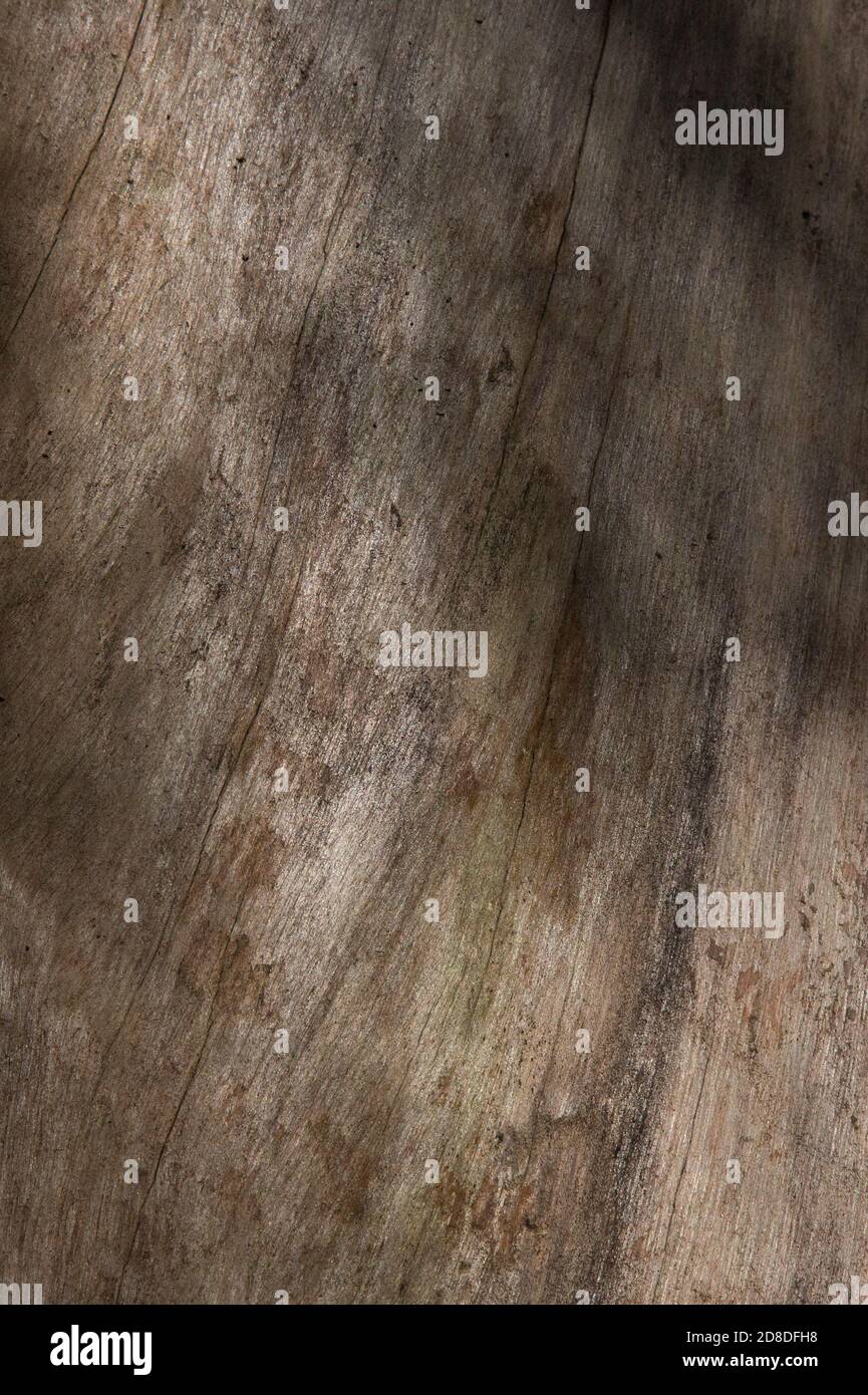 Brown spruce wood background hi-res stock photography and images - Alamy