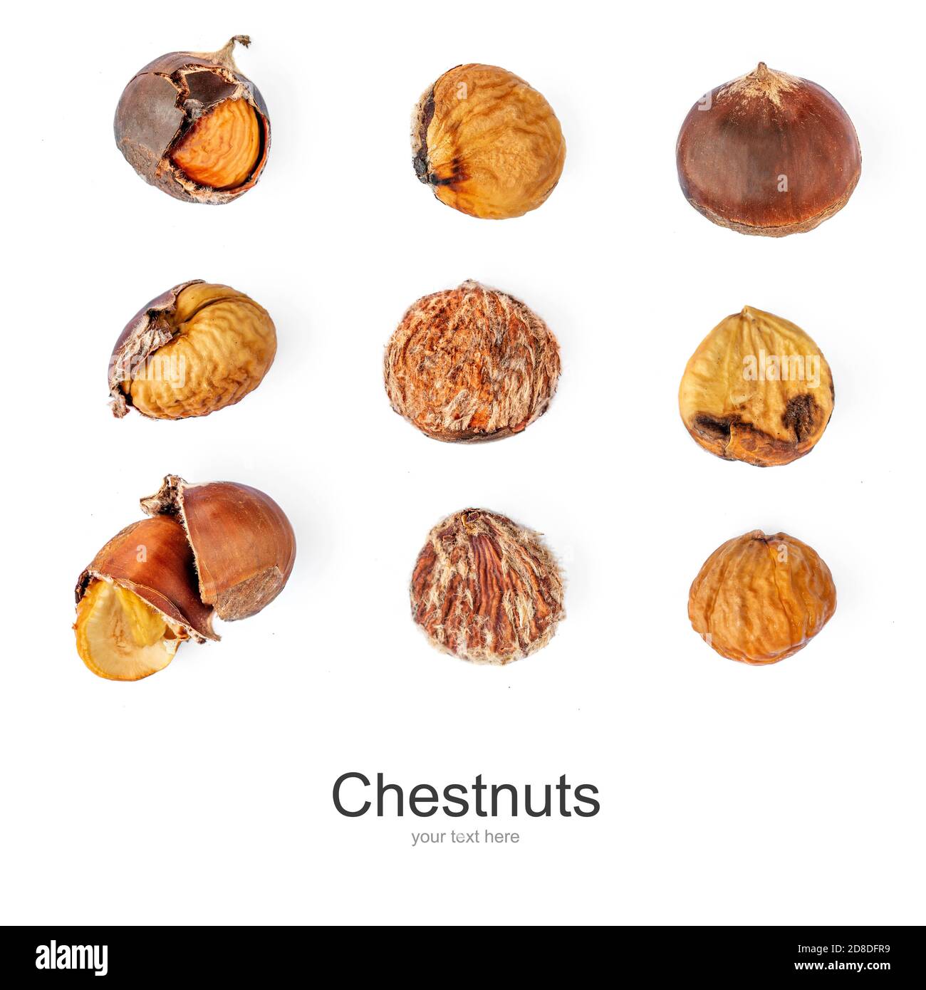 Creative layout made of roasted Chestnuts isolated on white background ...