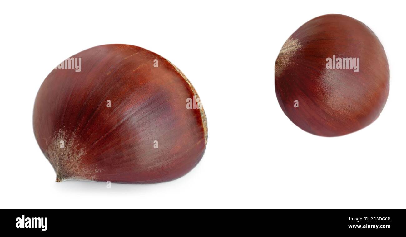 Chestnuts isolated on white background. Chestnut close-up. Roasted nuts ...