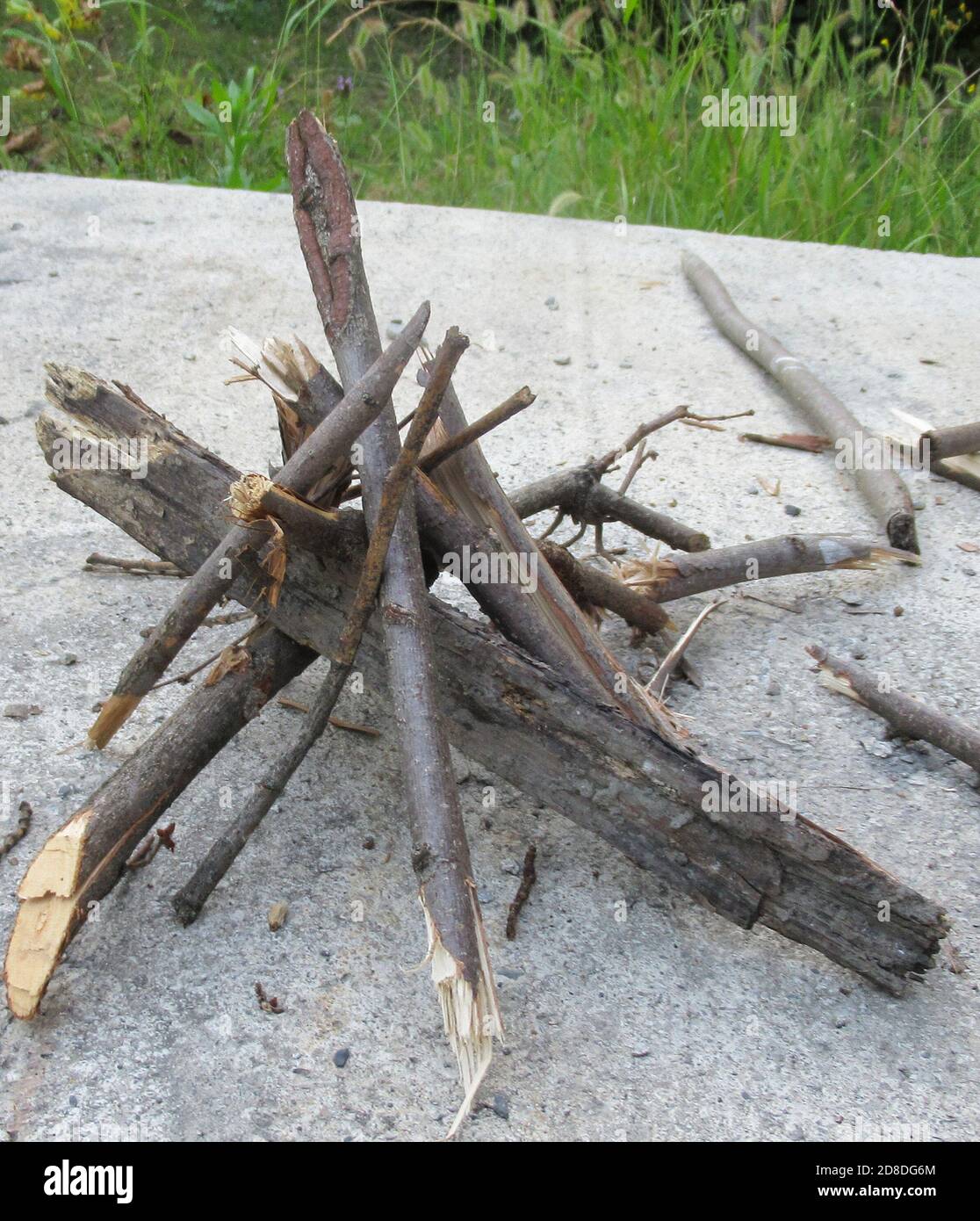 Tree branches put together for making a bonfire Stock Photo - Alamy