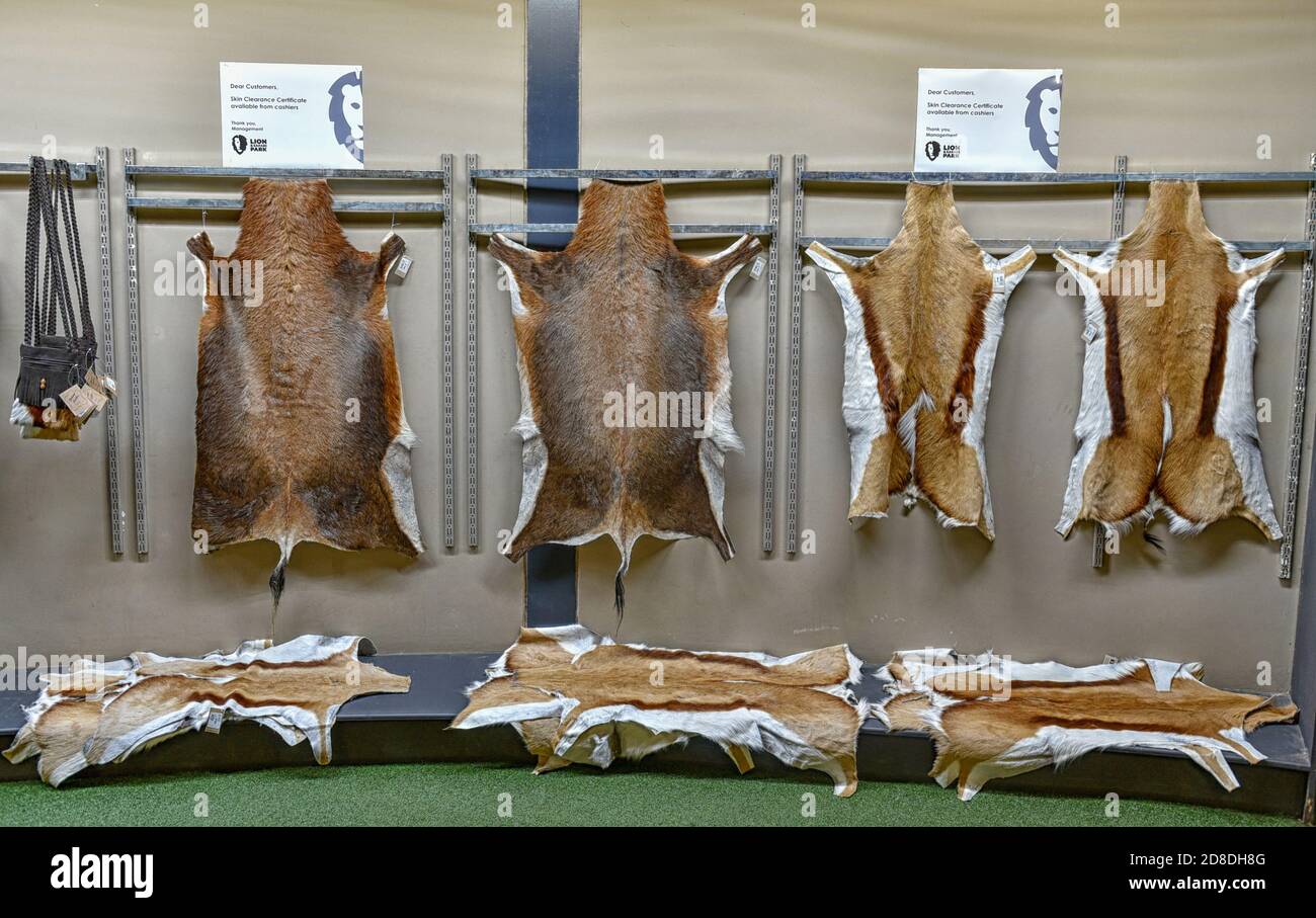 African handicrafts representing culture and tradition at Johannesburg ...