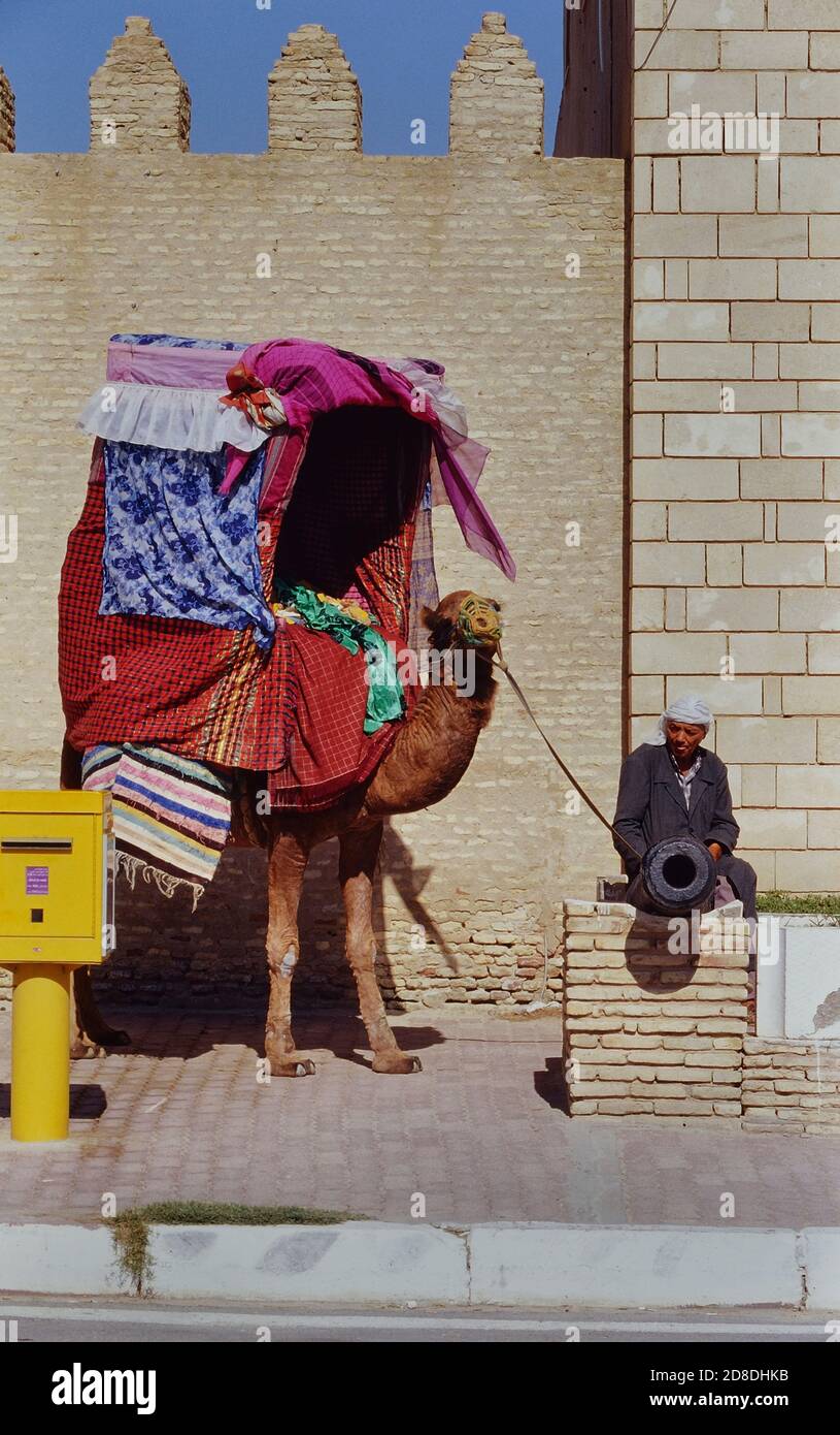 A camel with a howdah carriage outside the Great Mosque at Kairouan ...