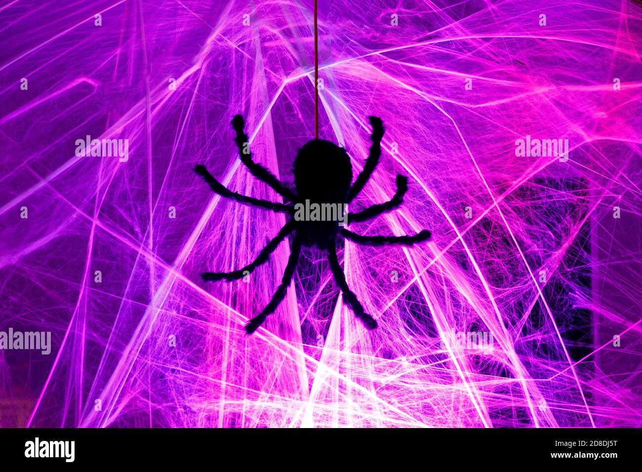 Down Came A Spider Stock Photo - Alamy