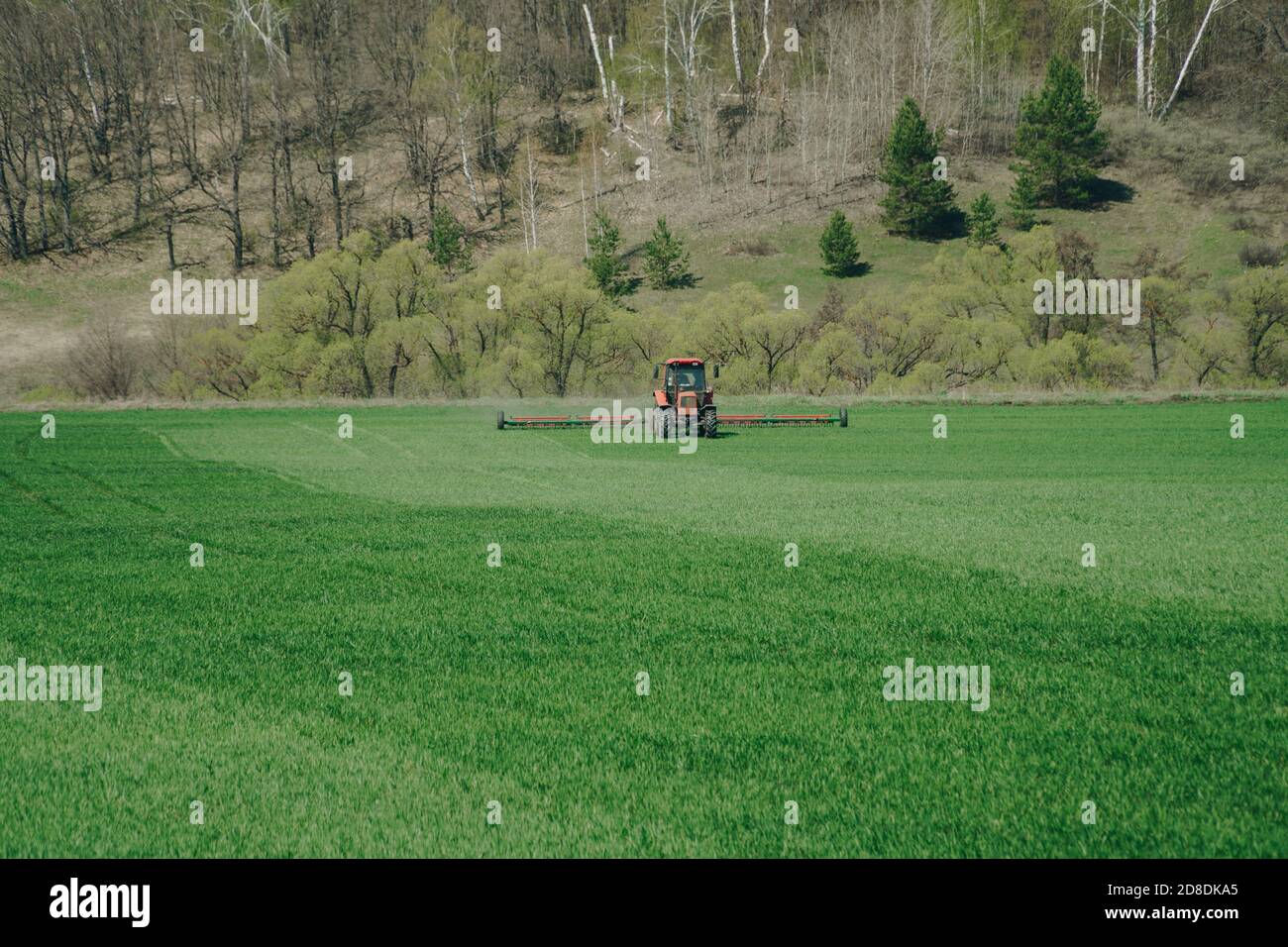 The tractor is working on a green spring field. Agriculture with cereal ...