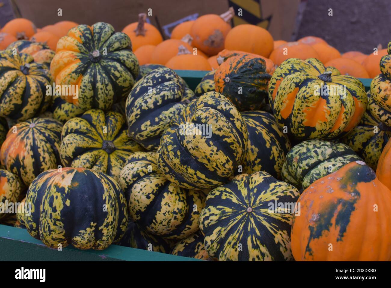Patterns of a squash hi-res stock photography and images - Alamy