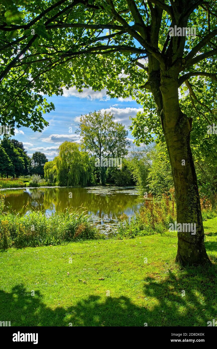 UK,South Yorkshire,Barnsley,Goldthorpe,Bolton Brick Ponds Stock Photo ...