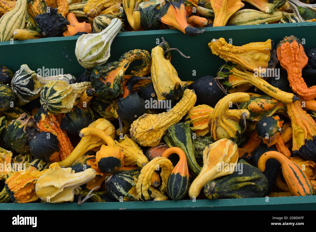 A bin of squash Stock Photo - Alamy