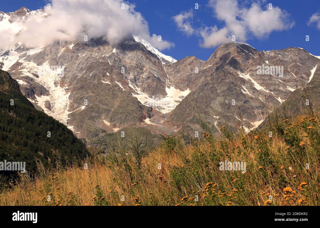 View of Monte Rosa with trees, pines, colorful flowers and white clouds ...