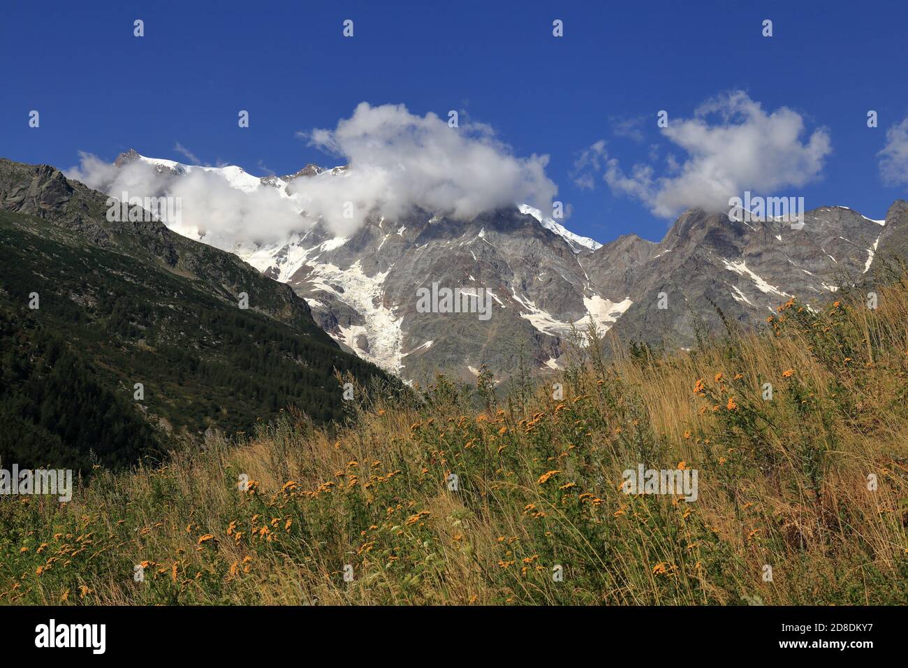 View of Monte Rosa, Italy, with trees, yellow flowers and white clouds ...