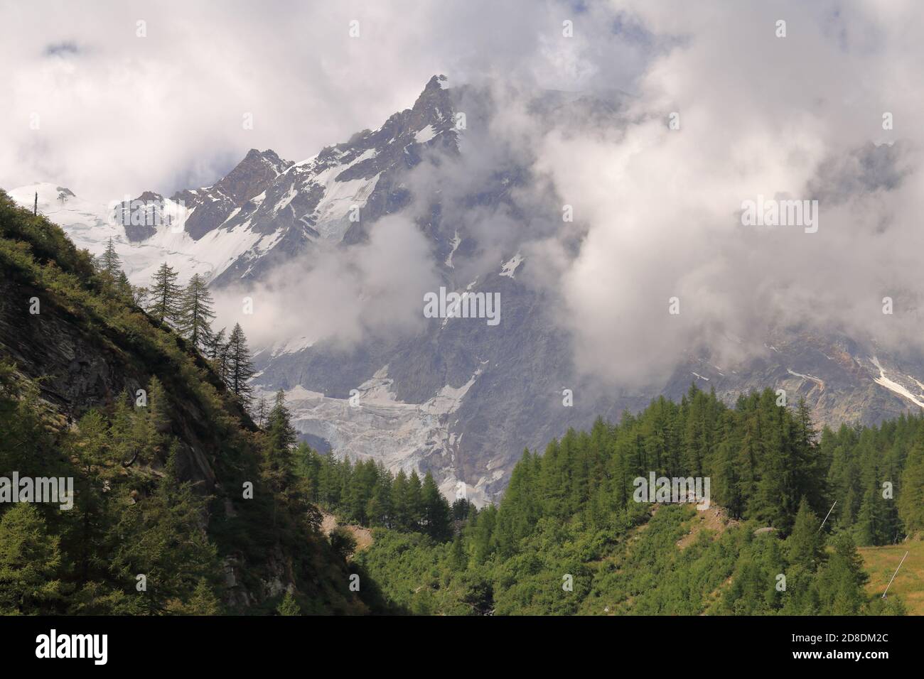 View of Monte Rosa with trees, pines and white clouds in the sky Stock ...