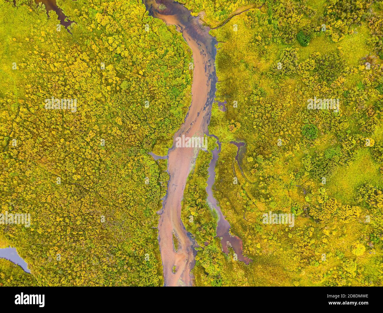 Aerial view of colorful pond in the marshlands Stock Photo - Alamy