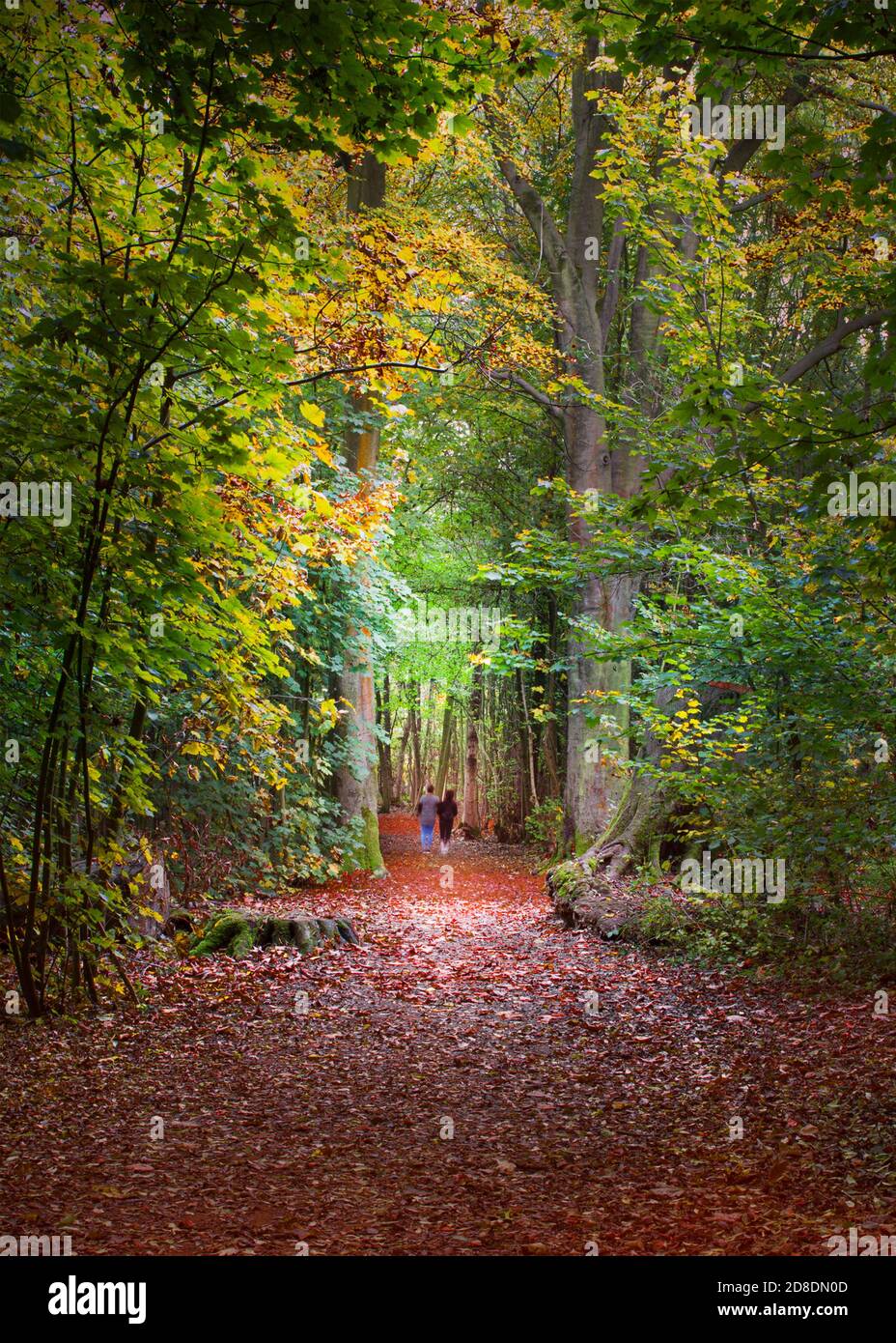 A couple take a walk in Stanmer Park during autumn. Brighton East ...