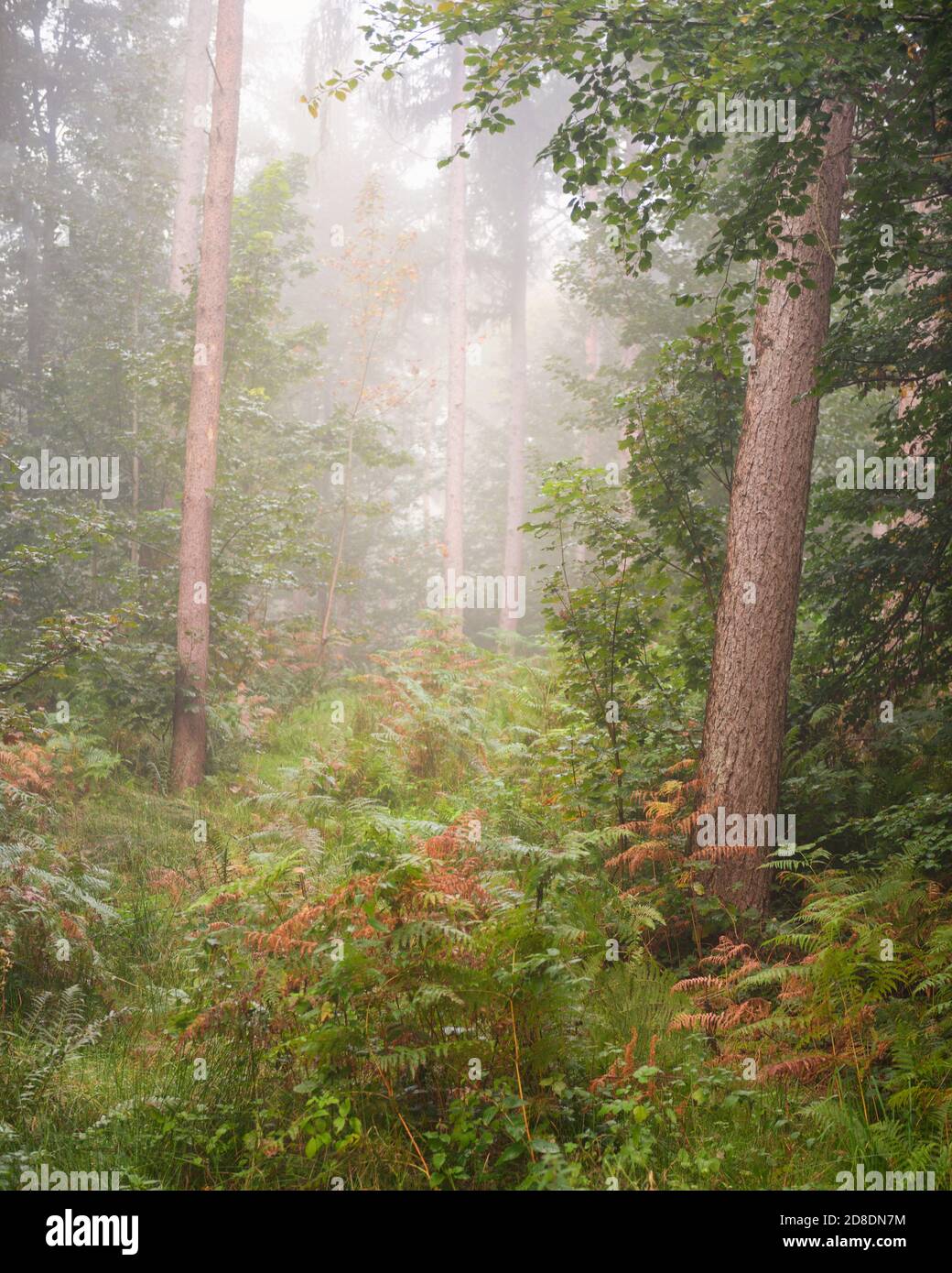 Soft textures hi-res stock photography and images - Alamy