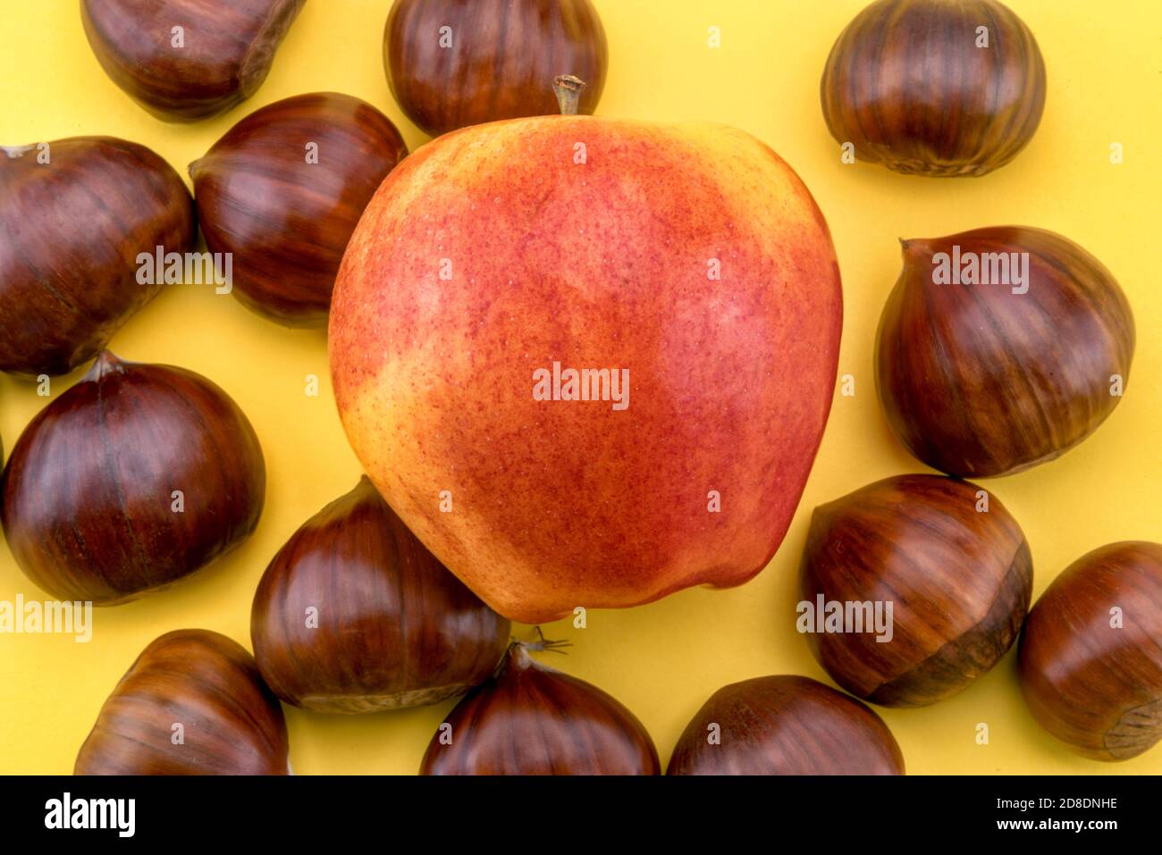 chestnuts and red royal gala apple isolated on yellow background in top ...