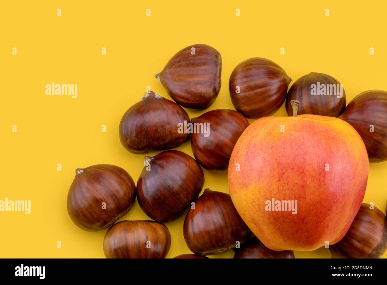 chestnuts and red royal gala apple isolated on yellow background in top ...