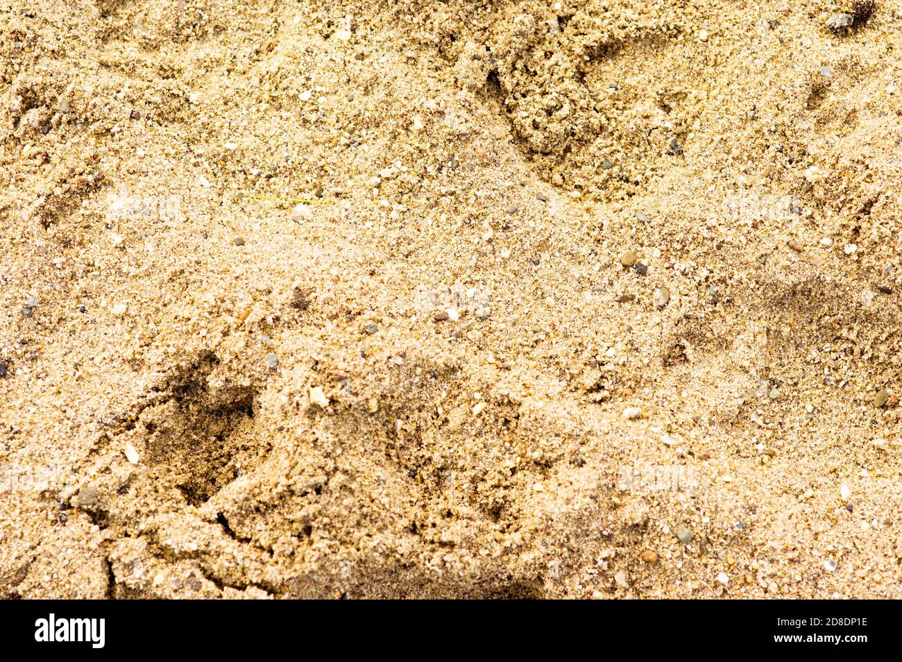 Beige texture sand hi-res stock photography and images - Alamy