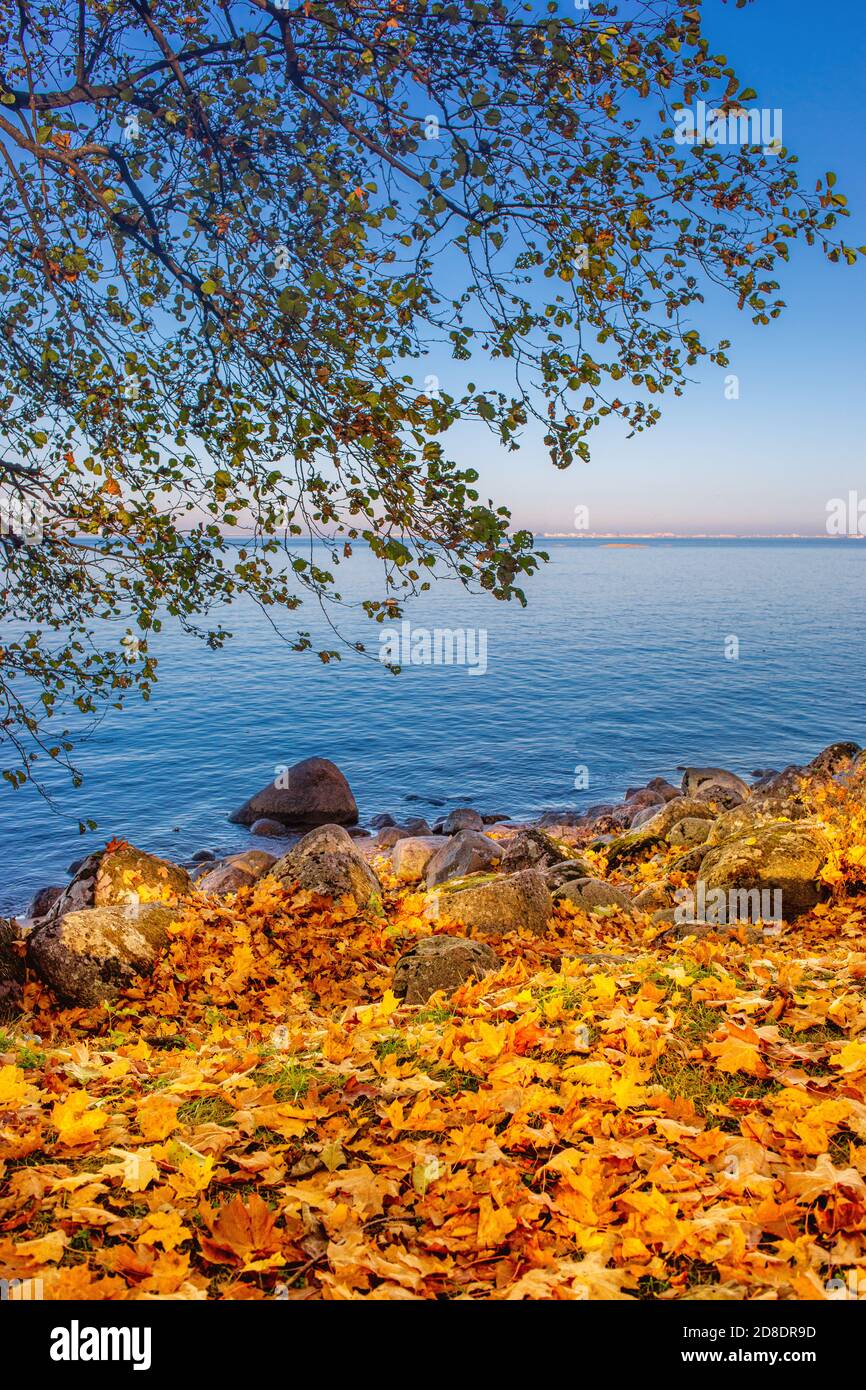 Abstract yellow landscape hi-res stock photography and images - Alamy