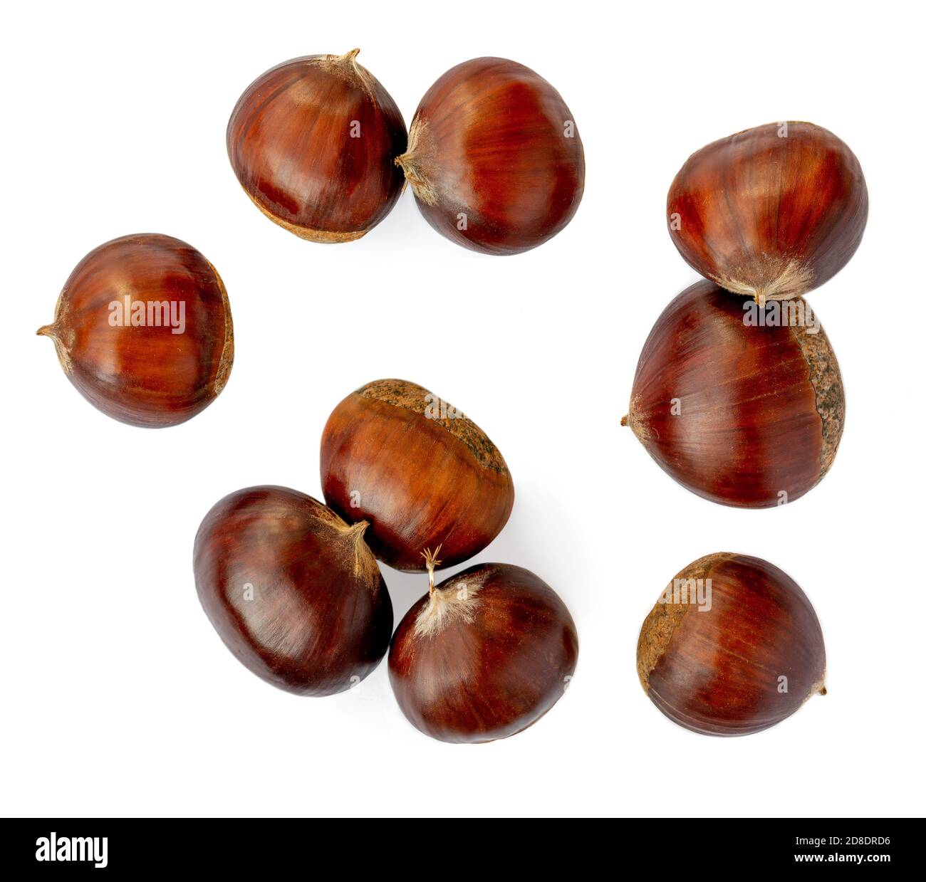Chestnuts isolated on white background. Chestnut Pattern. Top view ...