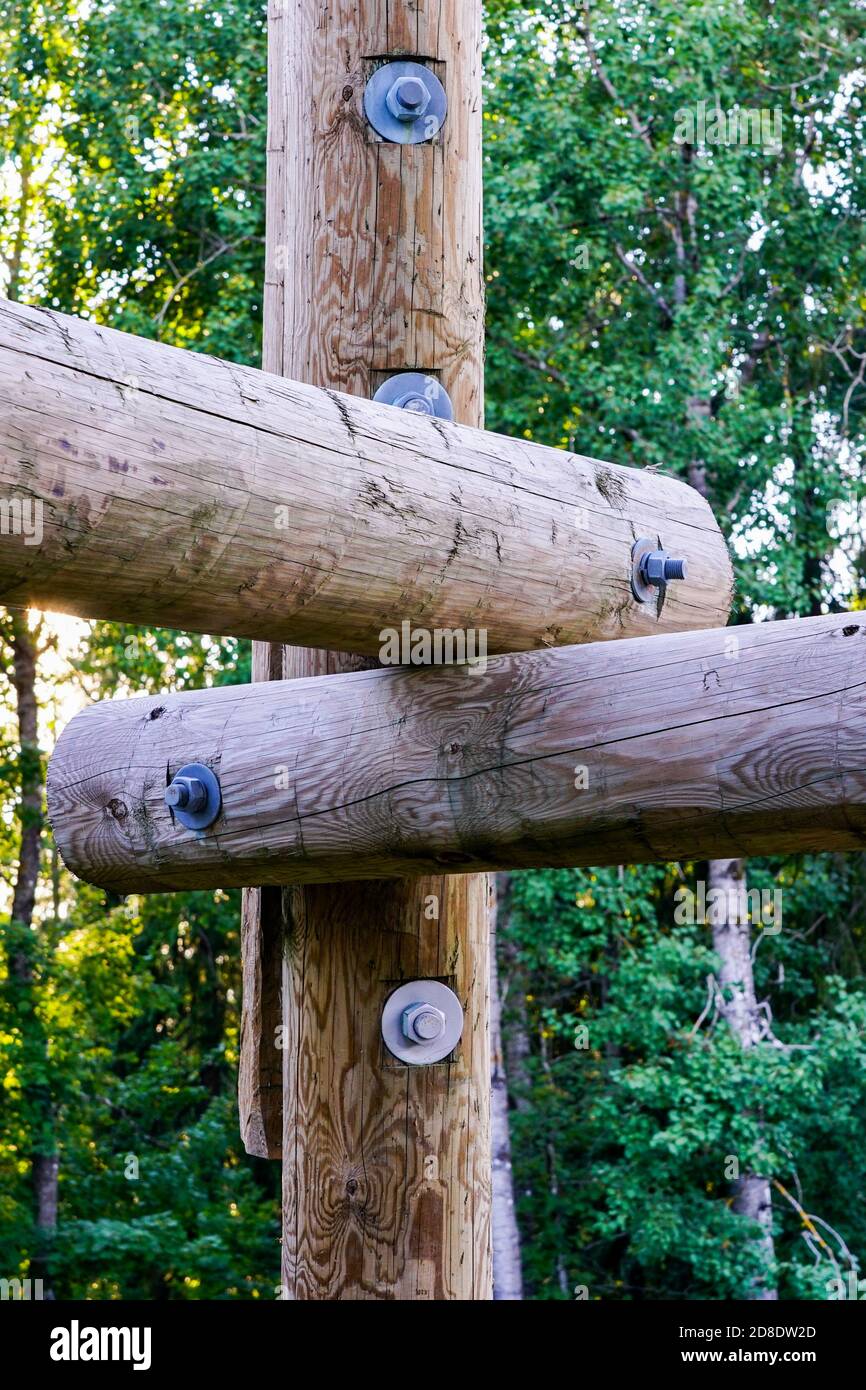 connecting a wooden round log structure with a metal screw on a green ...