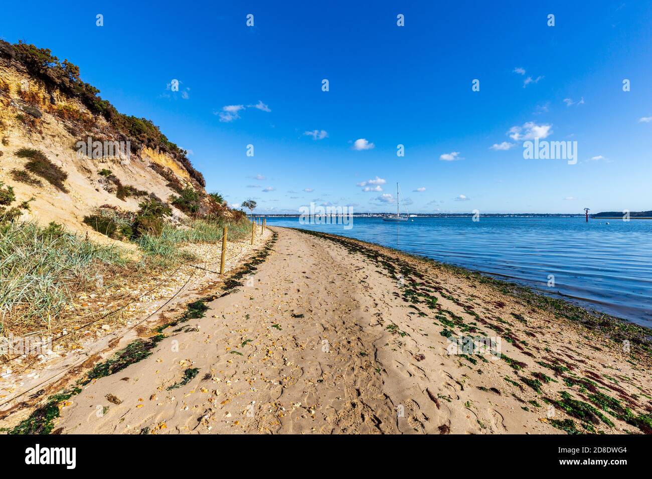 The beach and cliff at Shipstal Point in the RSPB Arne Nature Reserve ...