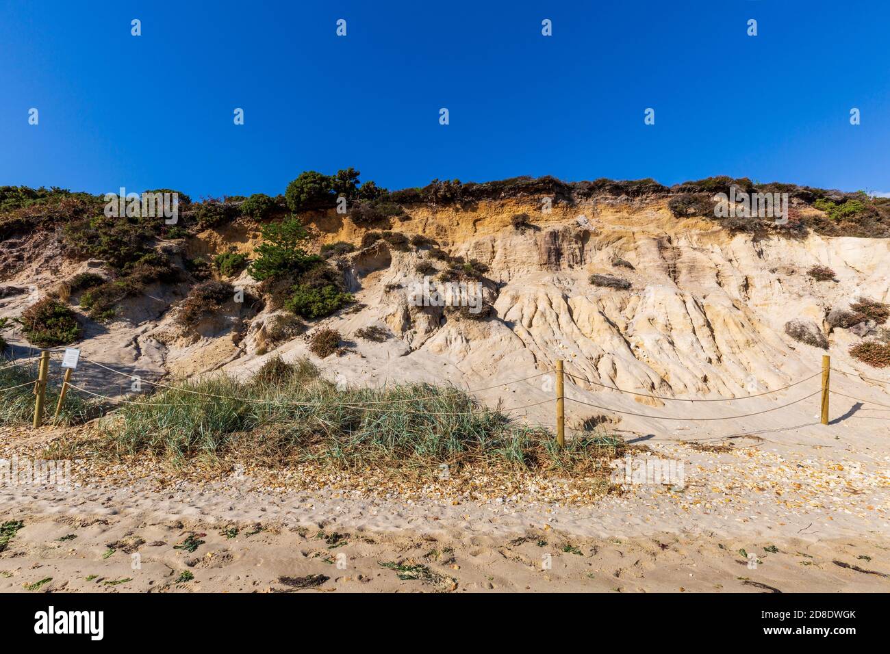 The beach and cliff at Shipstal Point in the RSPB Arne Nature Reserve ...