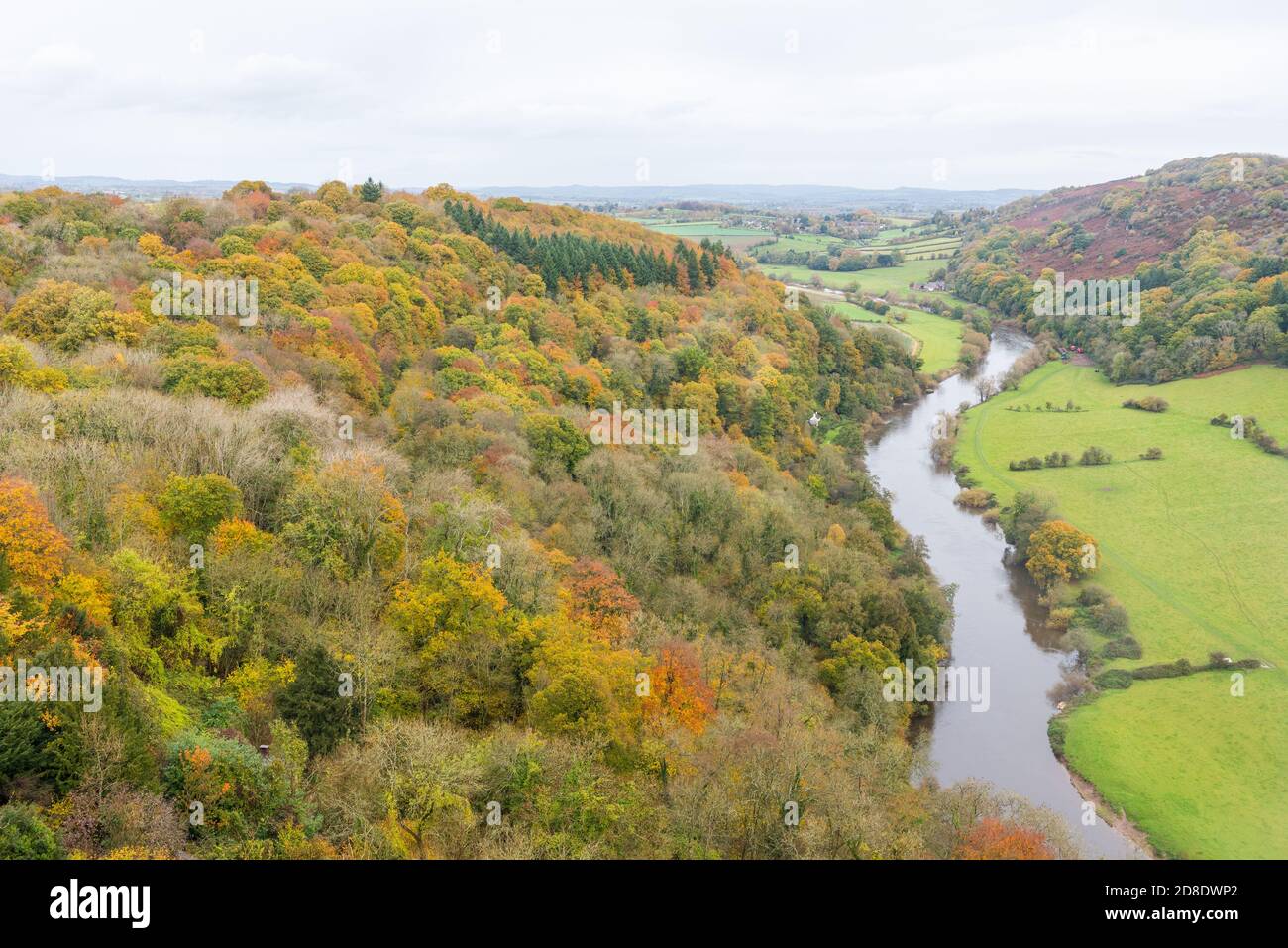 View from Symonds Yat Rock of the Wye Valley and River Wye in autumn ...