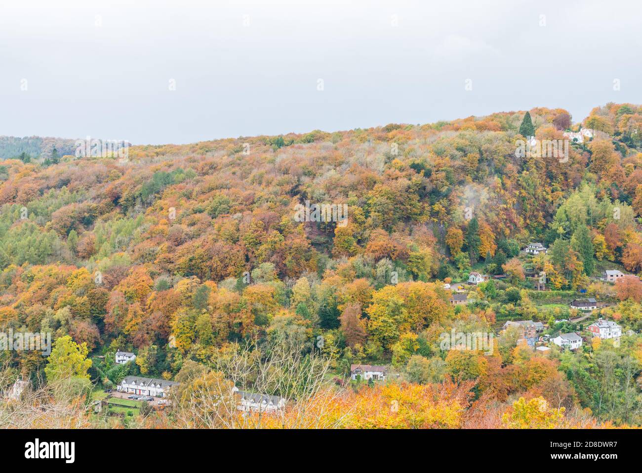 View from Symonds Yat Rock of the Wye Valley and River Wye in autumn ...