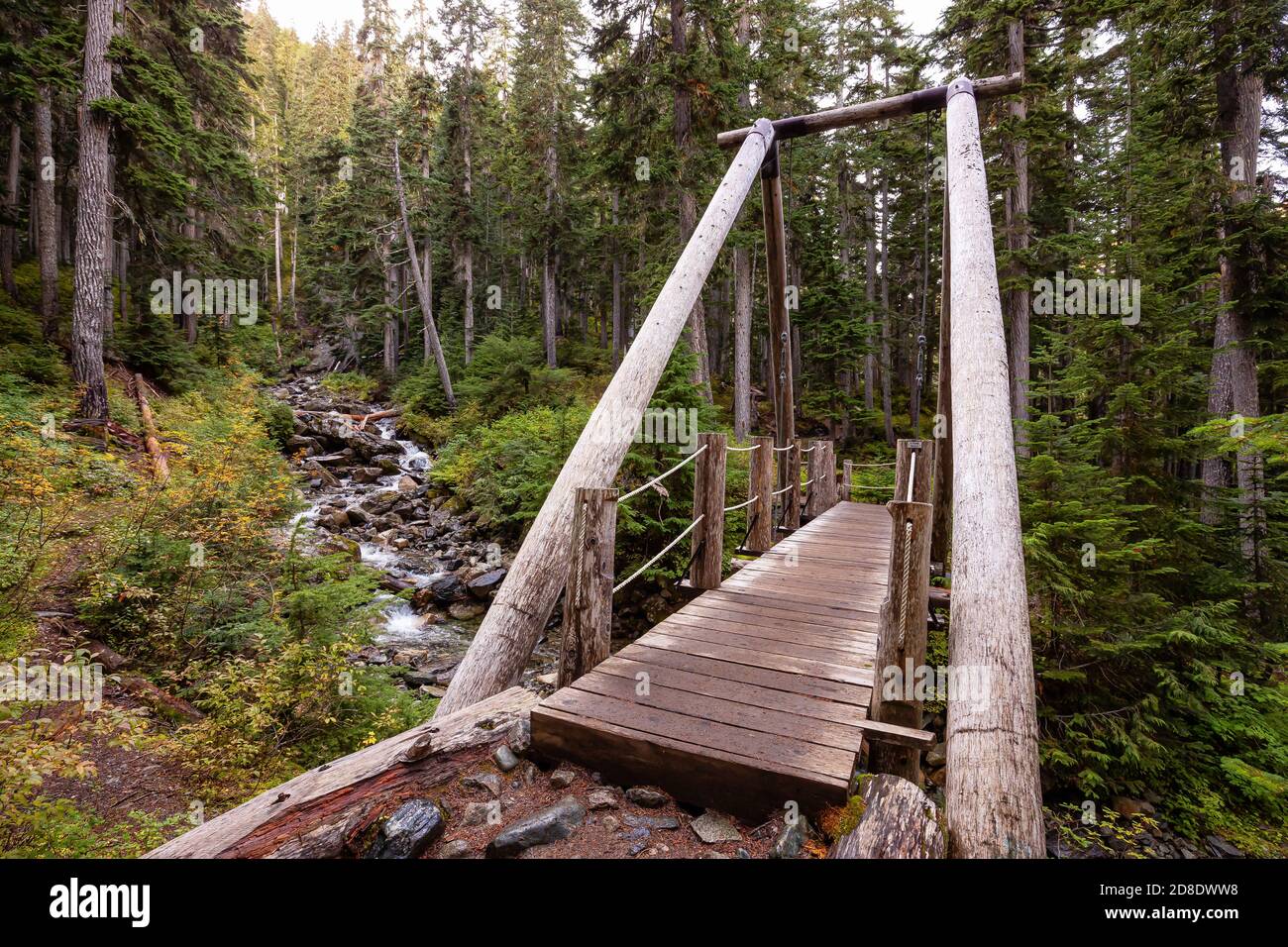 Scenic Bridge in the Forest Stock Photo - Alamy