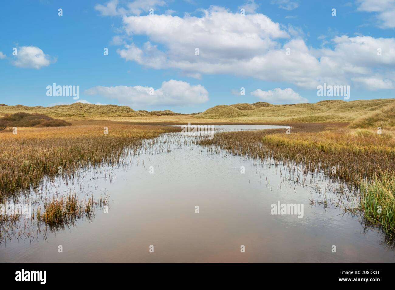 Forvie Sands National Nature Reserve near Collieston, Aberdeenshire ...