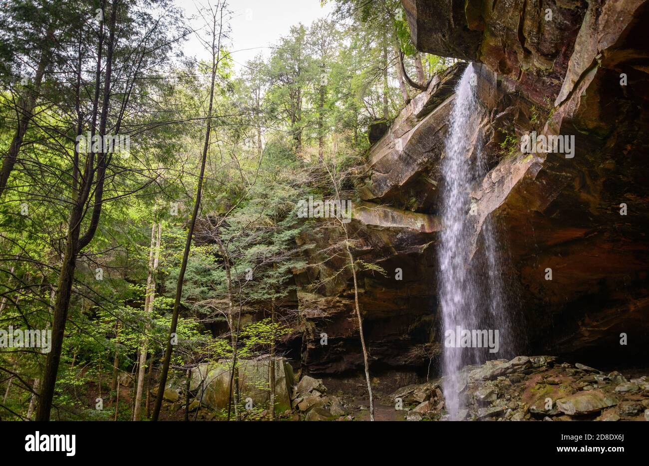Big South Fork National River and Recreation Area Stock Photo - Alamy