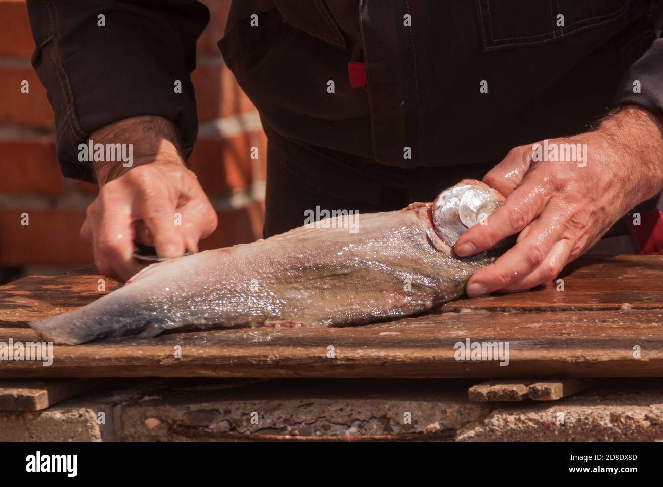 Cuts of fish hi-res stock photography and images - Alamy