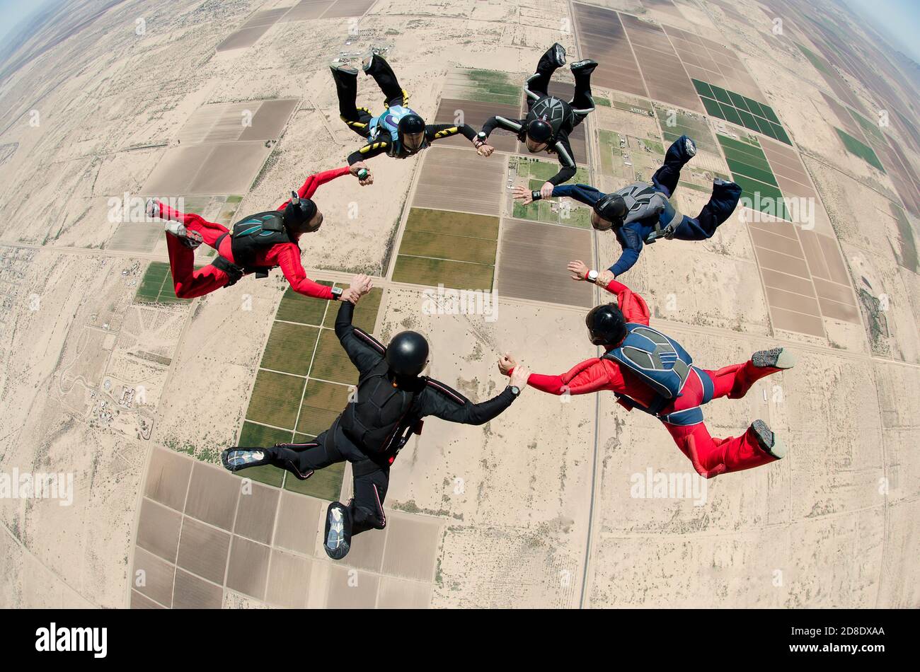 Skydiving team group formation Stock Photo - Alamy