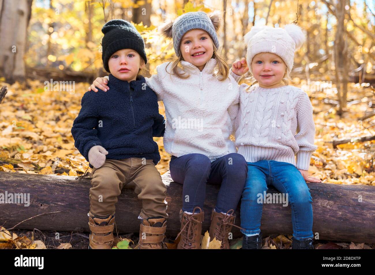 cute caucasian kids on fall season outdoors sit on log Stock Photo - Alamy