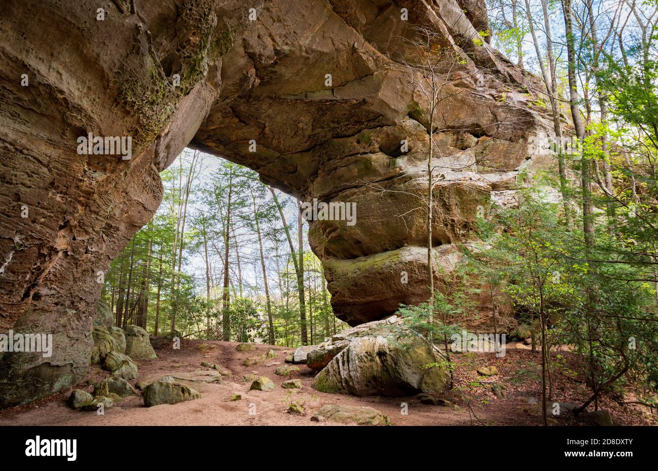 Big South Fork National River and Recreation Area Stock Photo - Alamy