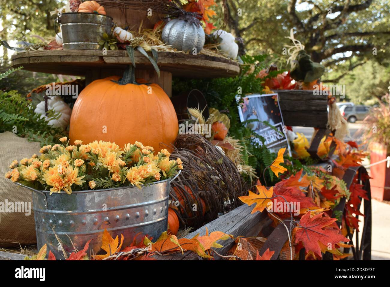 Thanksgiving harvest fall holiday hi-res stock photography and images ...