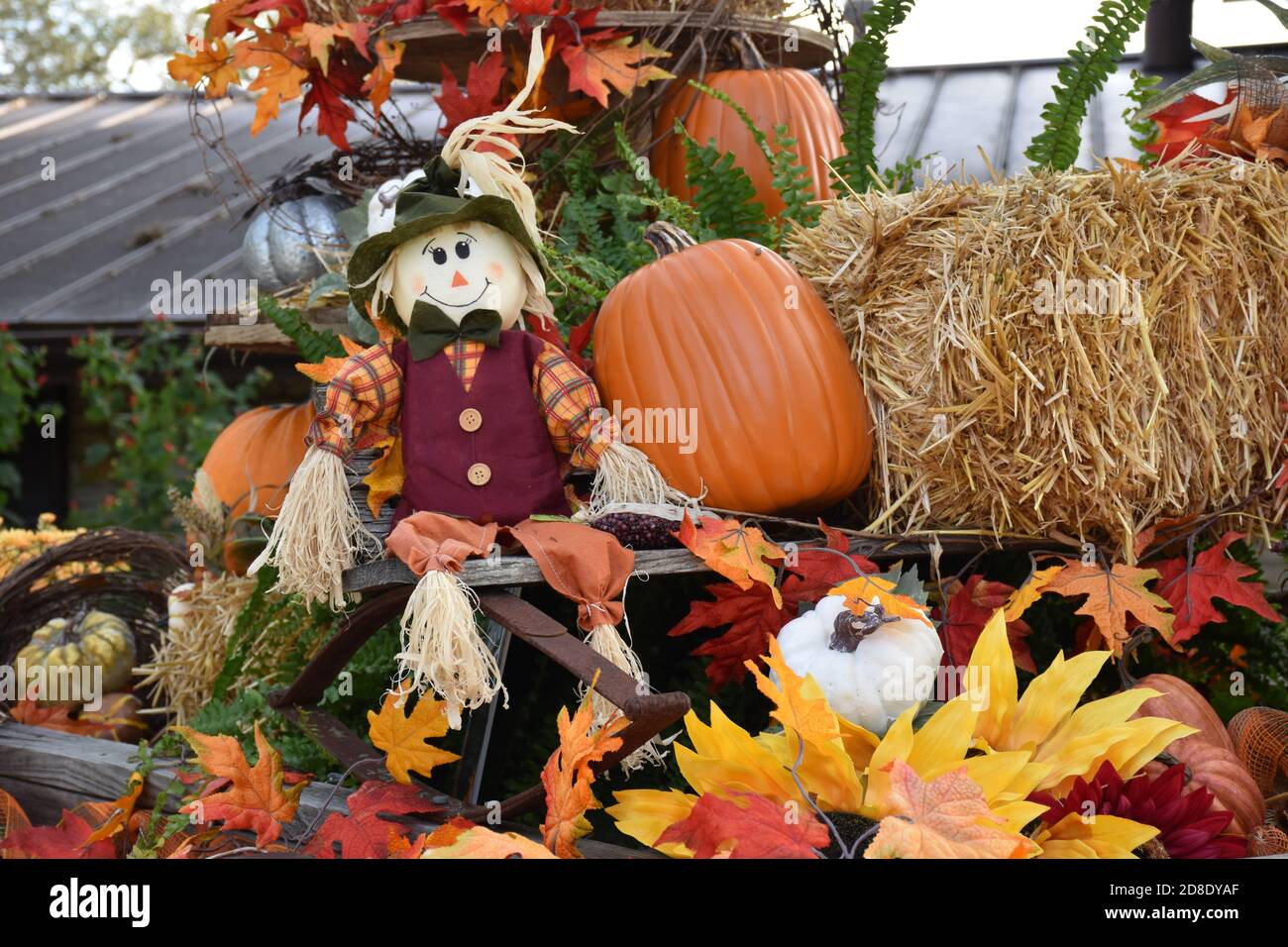 Season holidays hi-res stock photography and images - Alamy