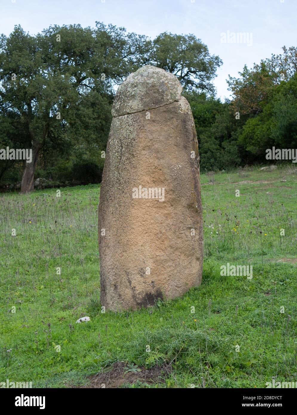 Menhir megalith stone in Sardinia Sardegna Italy big megalith stone ...