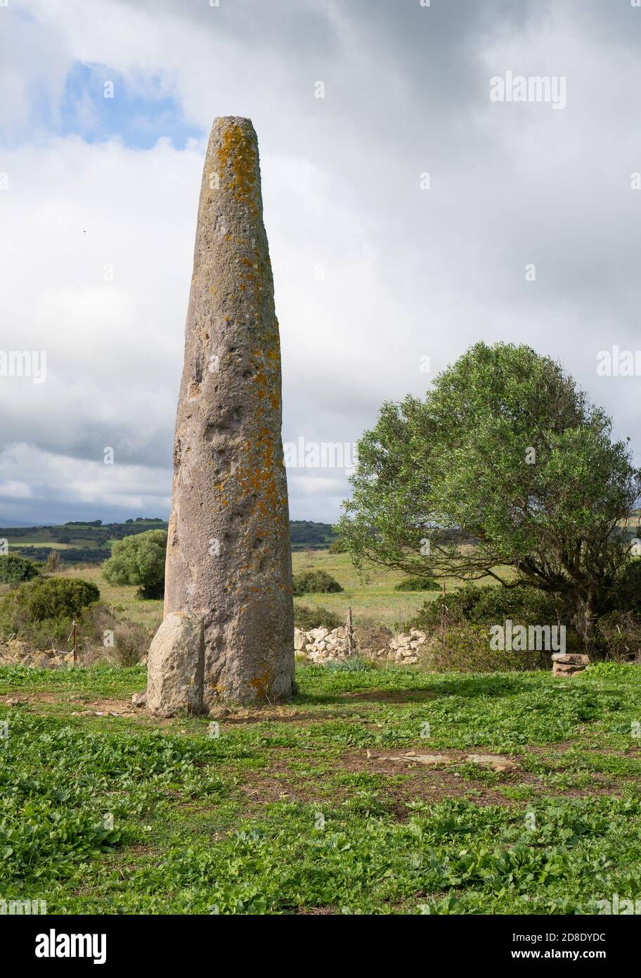 Menhir megalith stone in Sardinia Sardegna Italy big megalith stone ...
