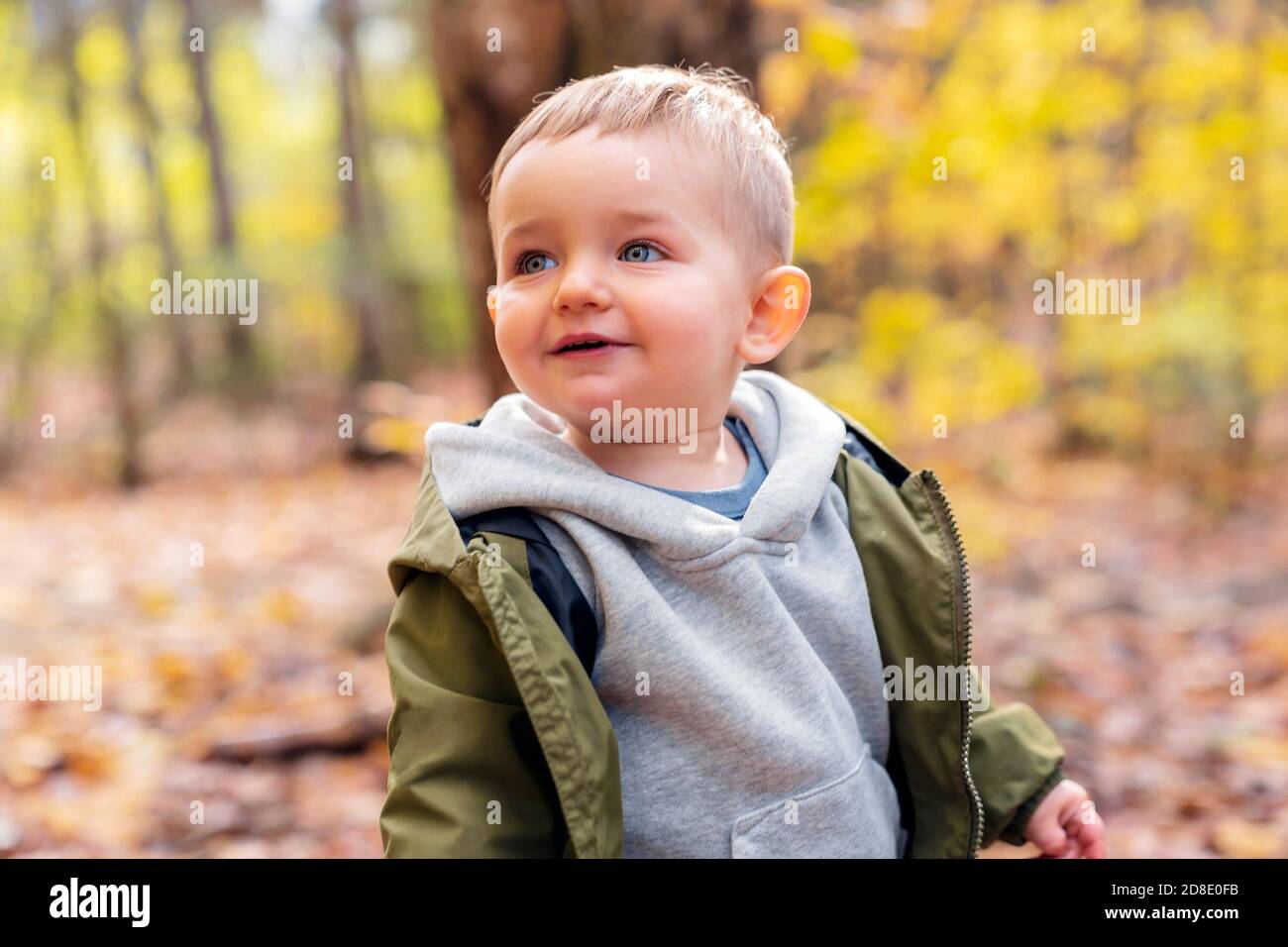 Little toddler boy in autumn park walking lonely Stock Photo - Alamy