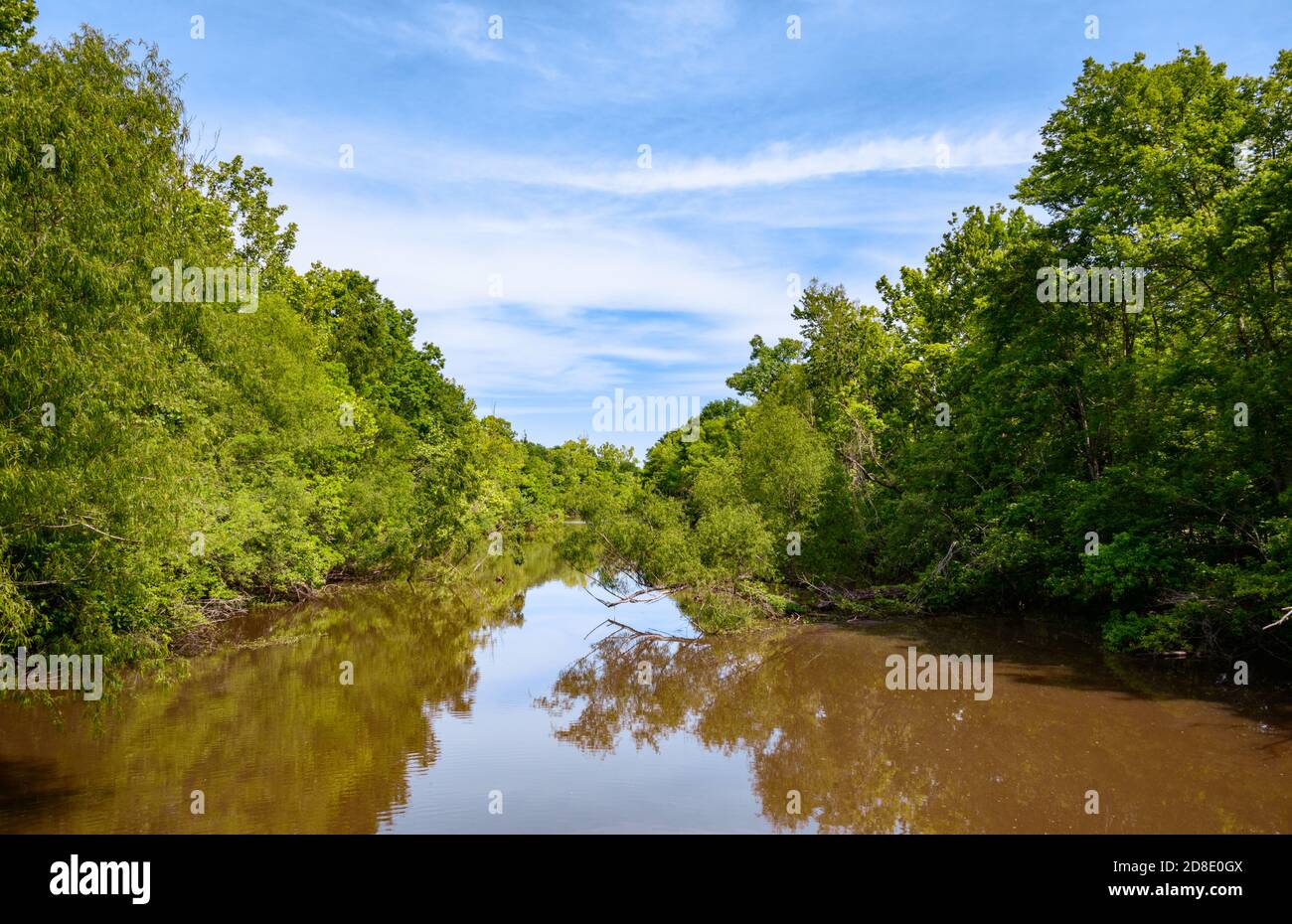 Lake Fausse Pointe State Park Stock Photo - Alamy