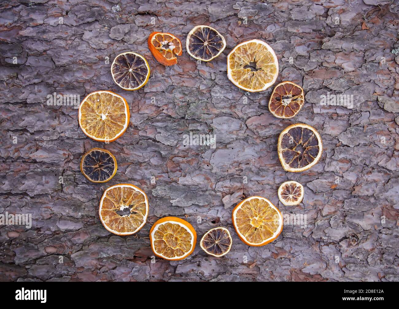 Tree bark frame border copy hi-res stock photography and images - Alamy
