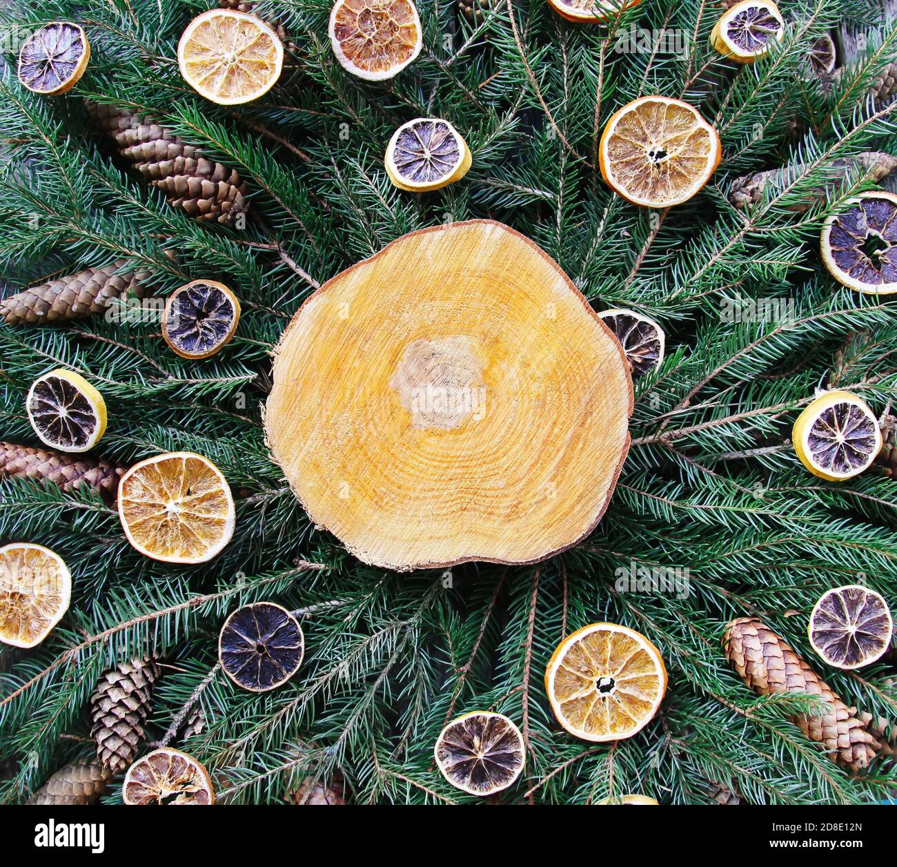 Wooden slice on green fir-tree branches decorated with dried orange ...