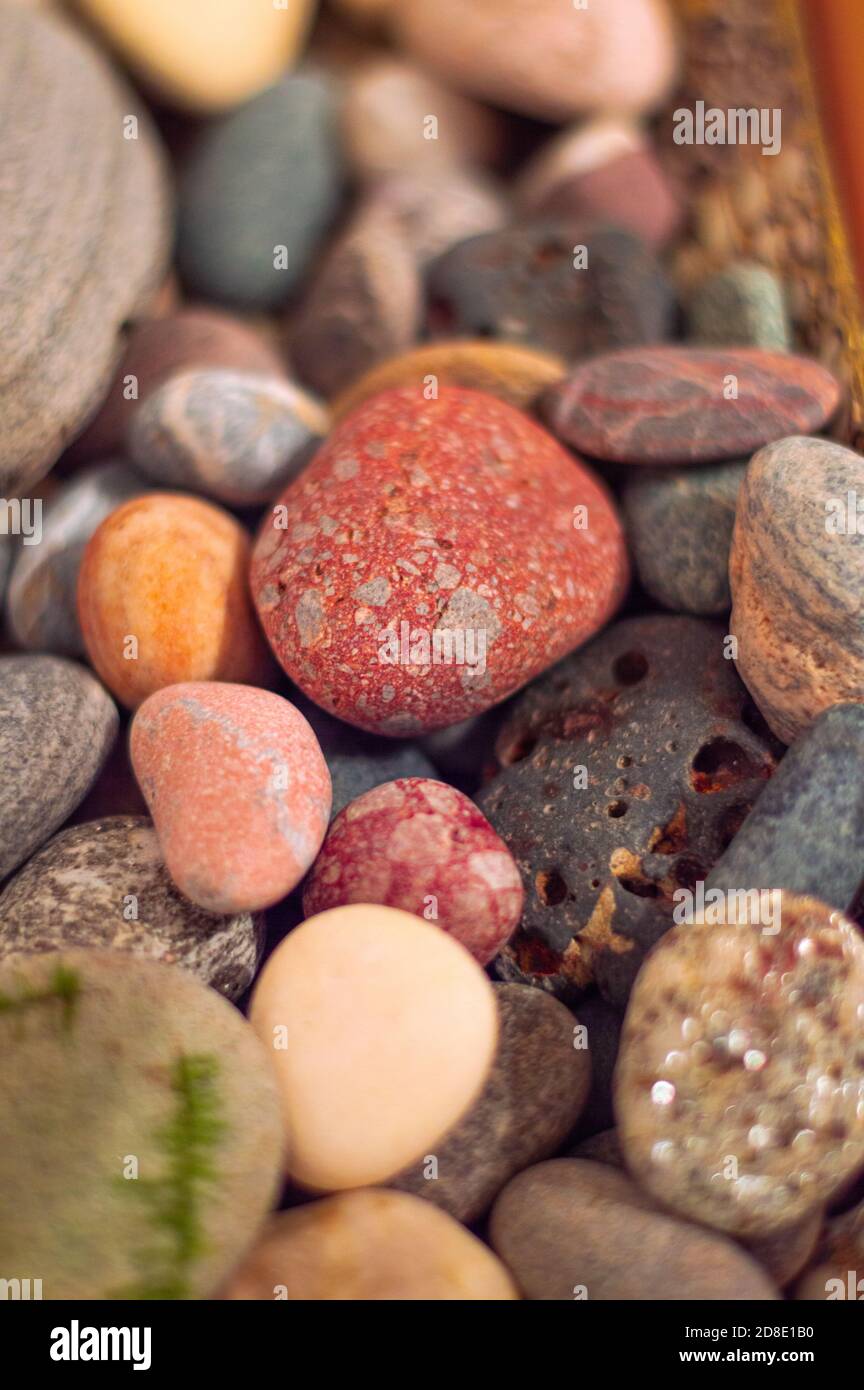 Top view of pebble stones in various colors Stock Photo - Alamy