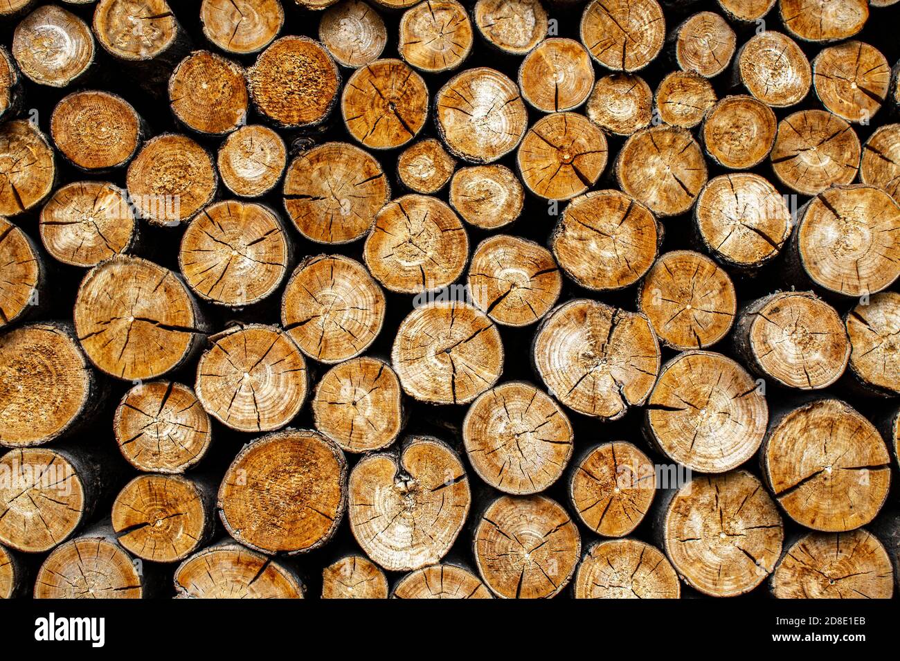 Texture from natural cut hi-res stock photography and images - Alamy