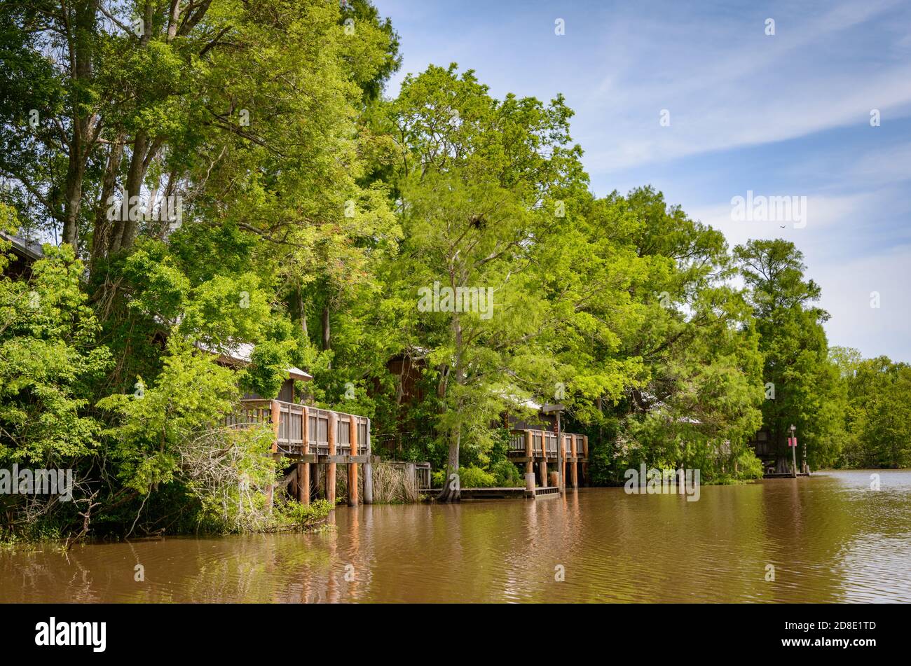 Lake Fausse Pointe State Park Stock Photo - Alamy