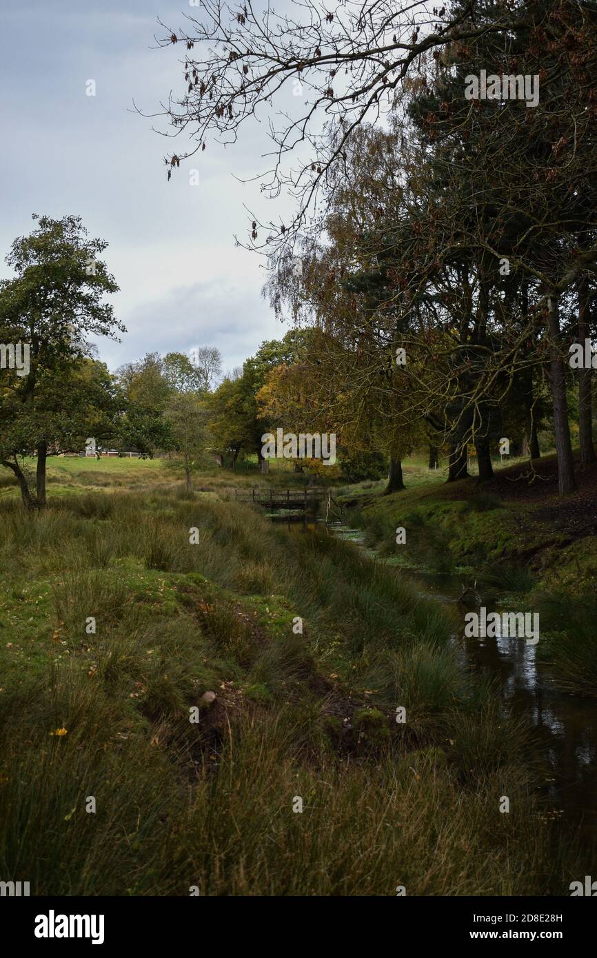 Small bridge over a stream Stock Photo - Alamy