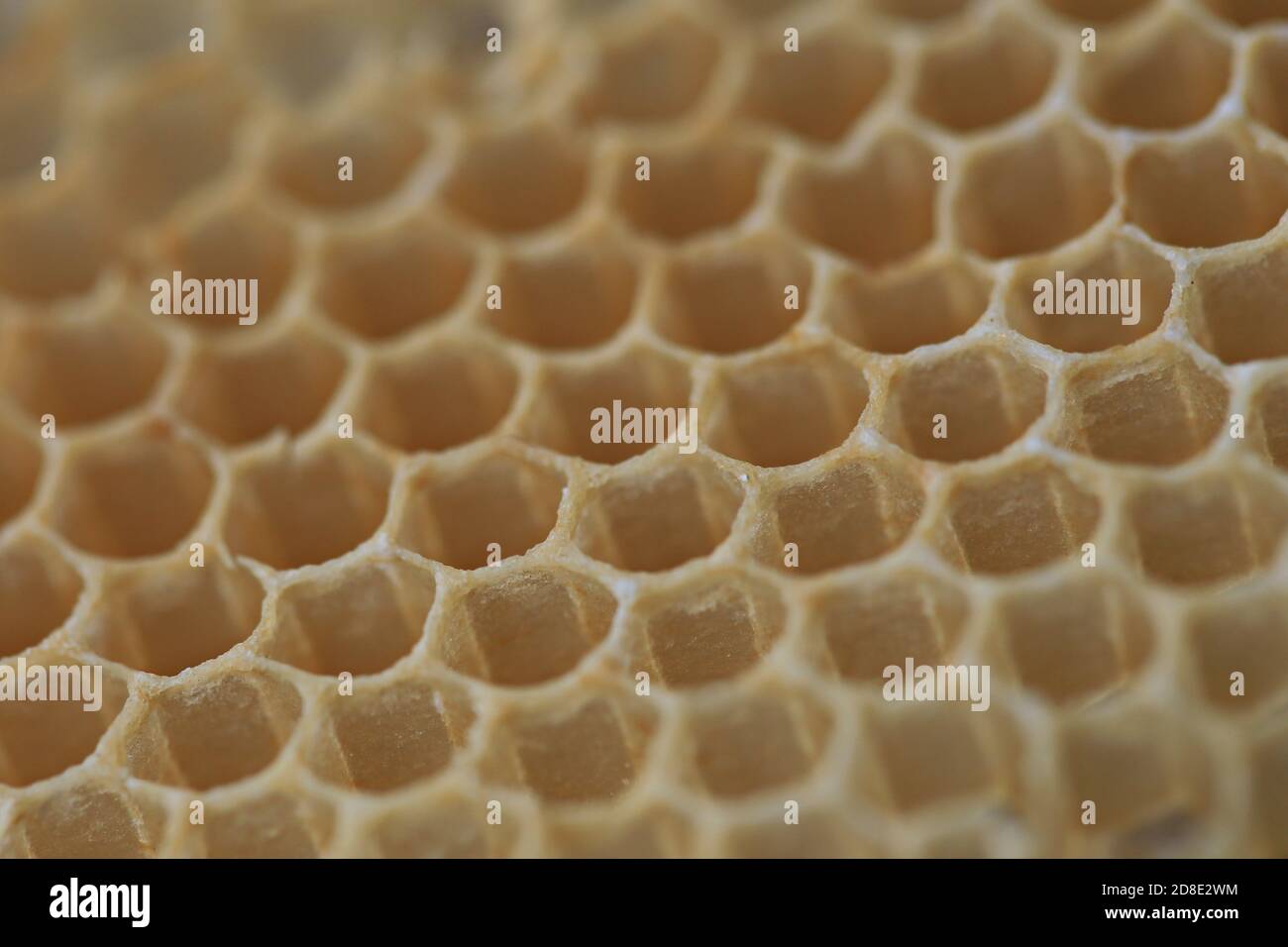 Honeycomb conjecture hi-res stock photography and images - Alamy